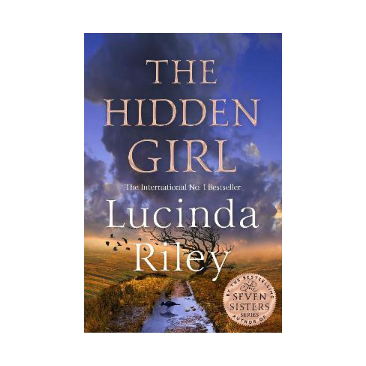 Hidden Girl, The – Petronella's Gallery and Bookstore