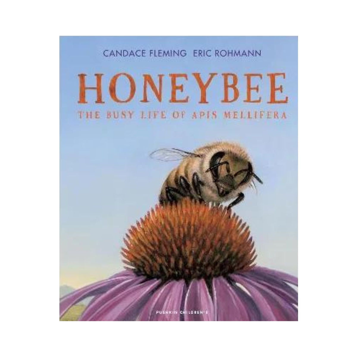 Honeybee, The Busy Life of Apis Mellifera – Petronella's Gallery and ...