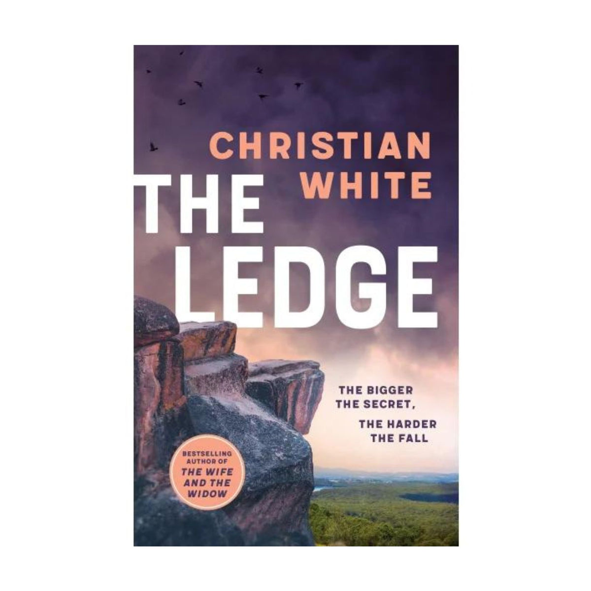 Ledge, The – Petronella's Gallery and Bookstore