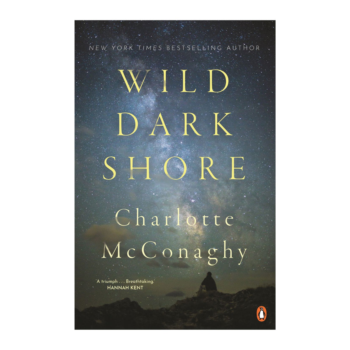 Wild Dark Shore – Petronella's Gallery and Bookstore