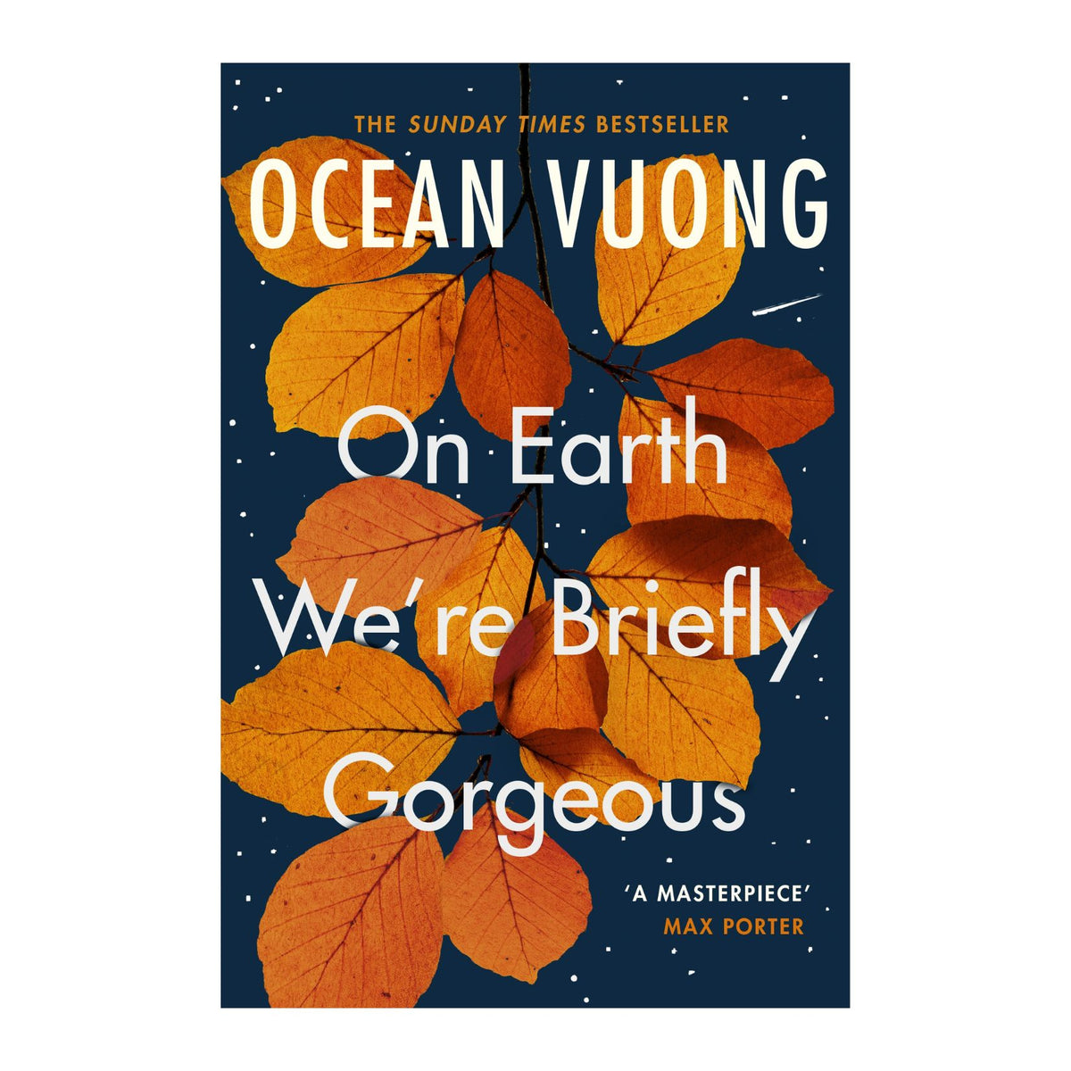 On Earth We Are Briefly Gorgeous – Petronella's Gallery and Bookstore