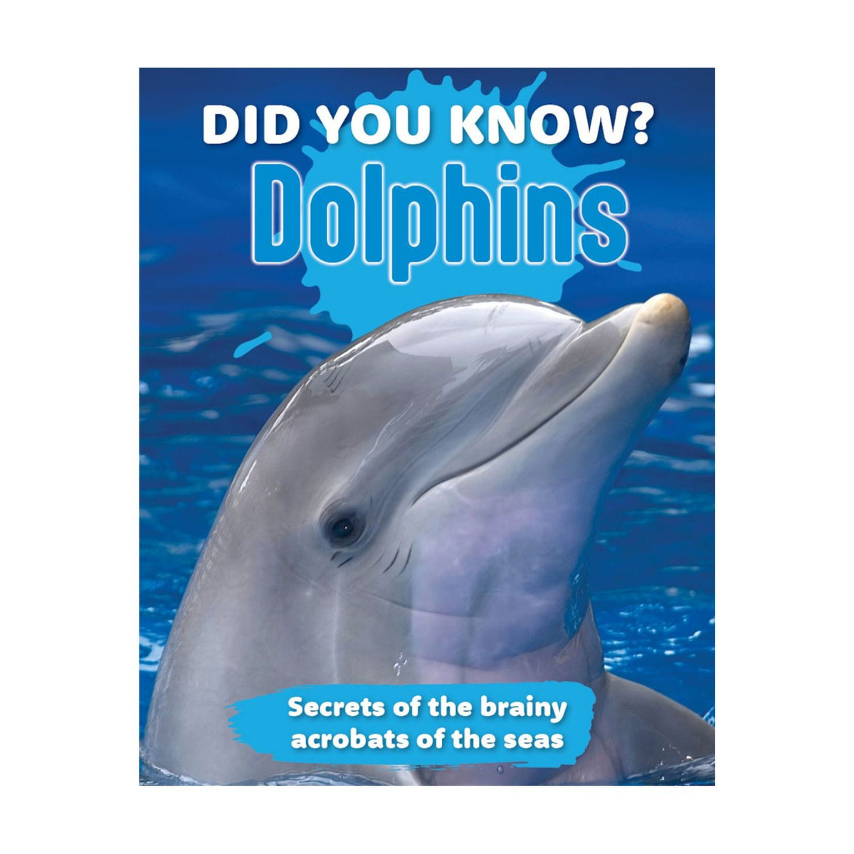 Did You Know? Dolphins – Petronella's Gallery and Bookstore