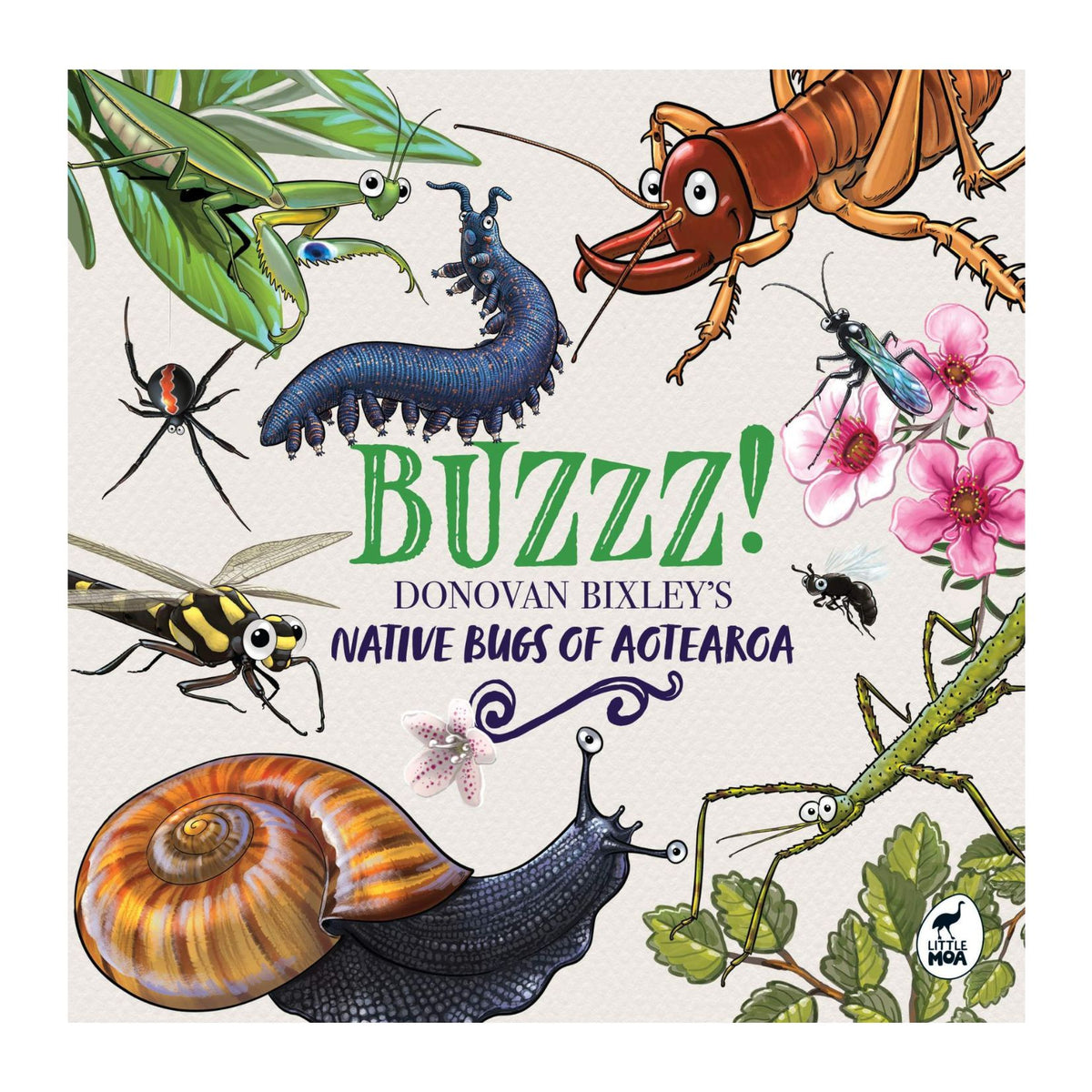 Buzz! Native Bugs of Aotearoa – Petronella's Gallery and Bookstore