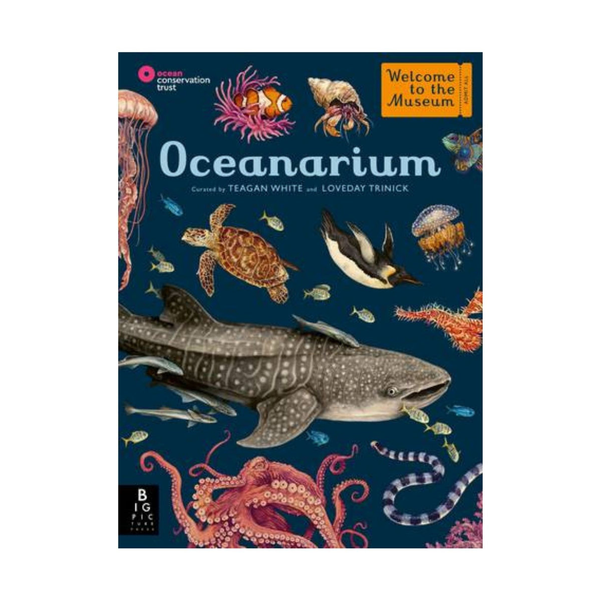 Oceanarium – Petronella's Gallery and Bookstore