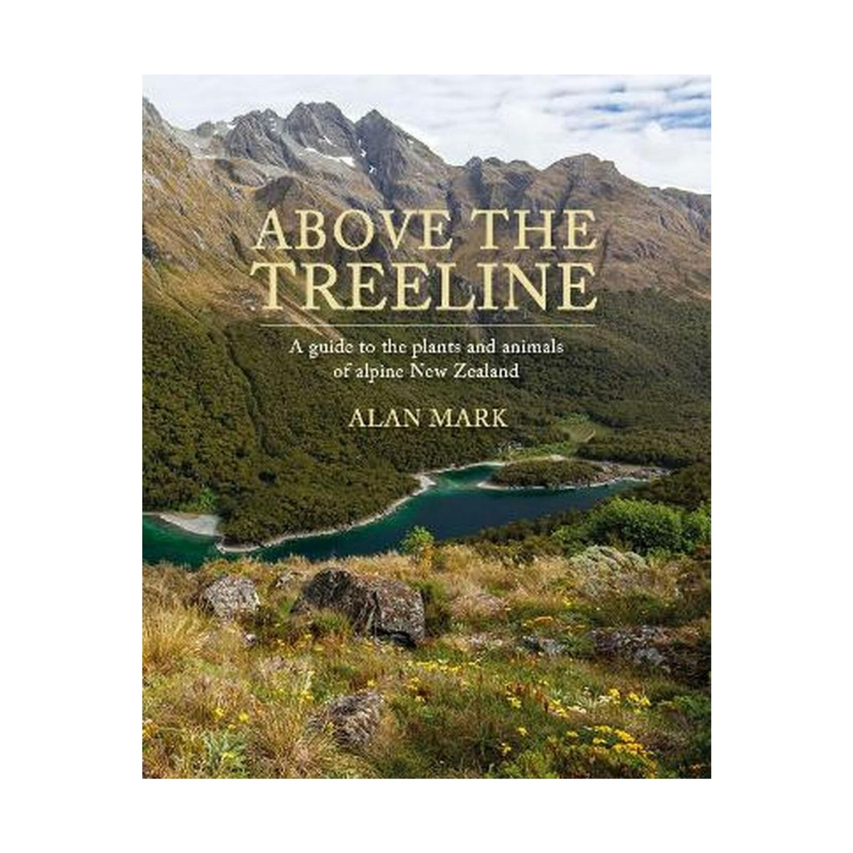 Above The Treeline – Petronella's Gallery and Bookstore