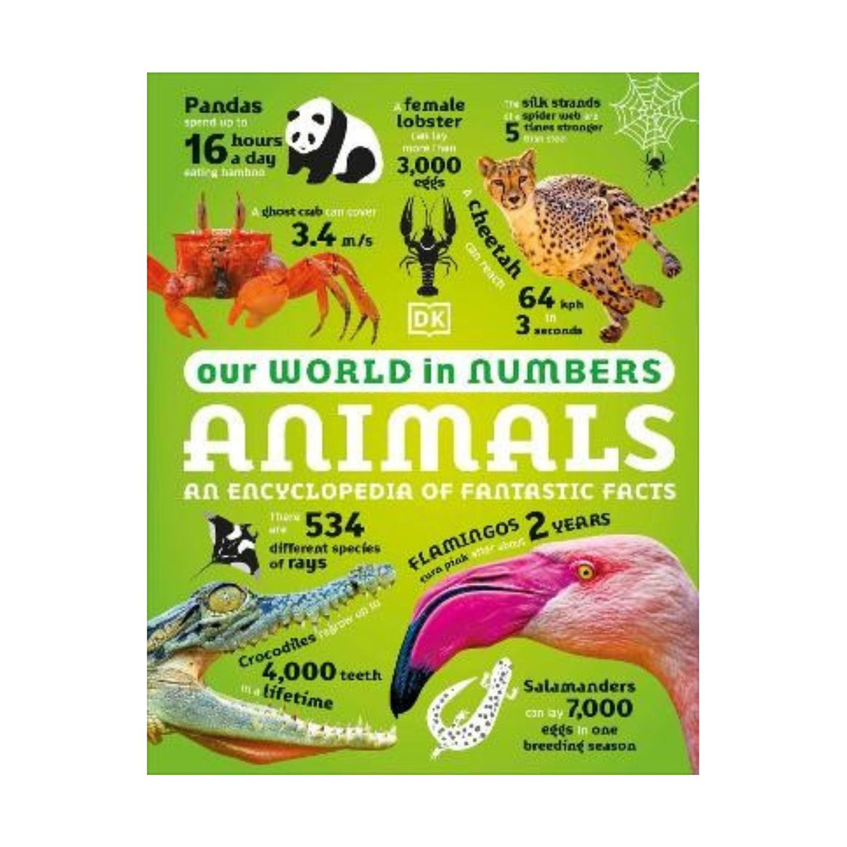 Our World in Numbers, Animals – Petronella's Gallery and Bookstore