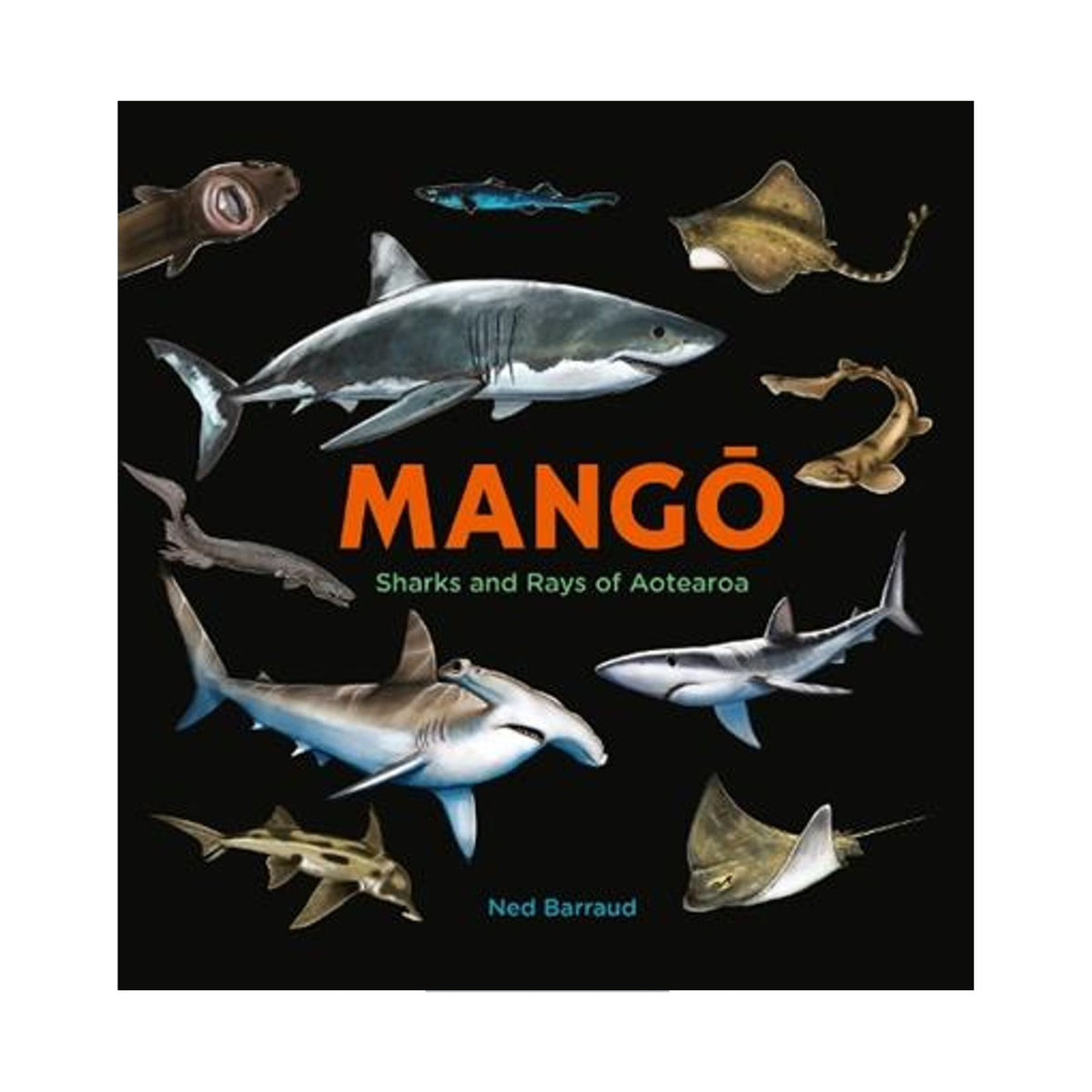 Mango - Sharks and Rays of Aotearoa – Petronella's Gallery and Bookstore